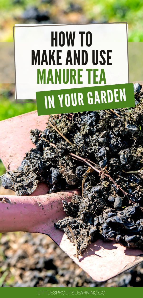 How to Make and Use Manure Tea in Your Garden-Little Sprouts
