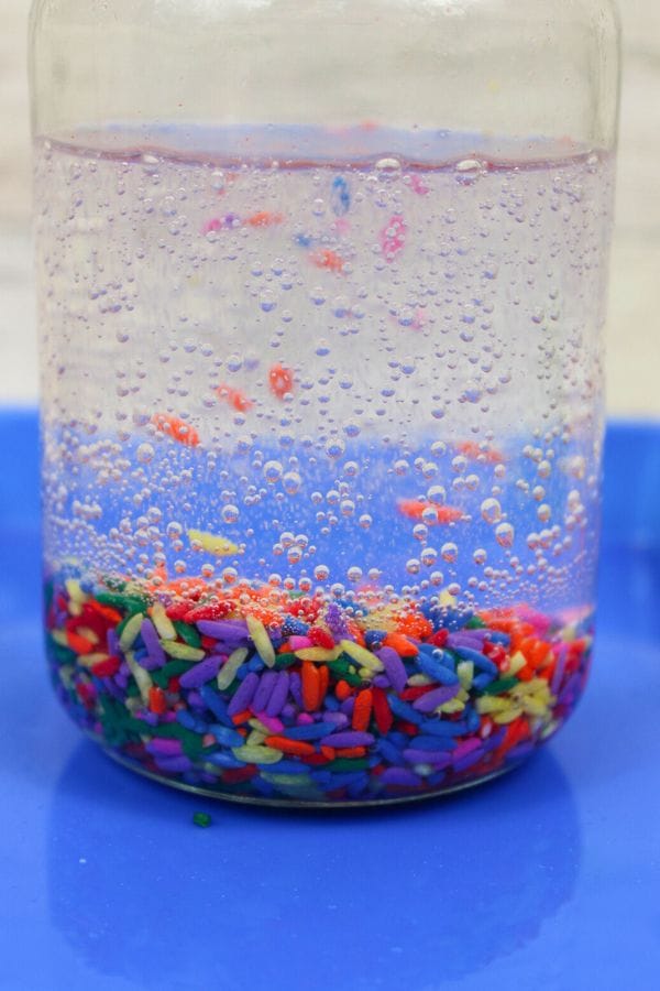 Fun Magic Dancing Rice Science Experiment for Kids