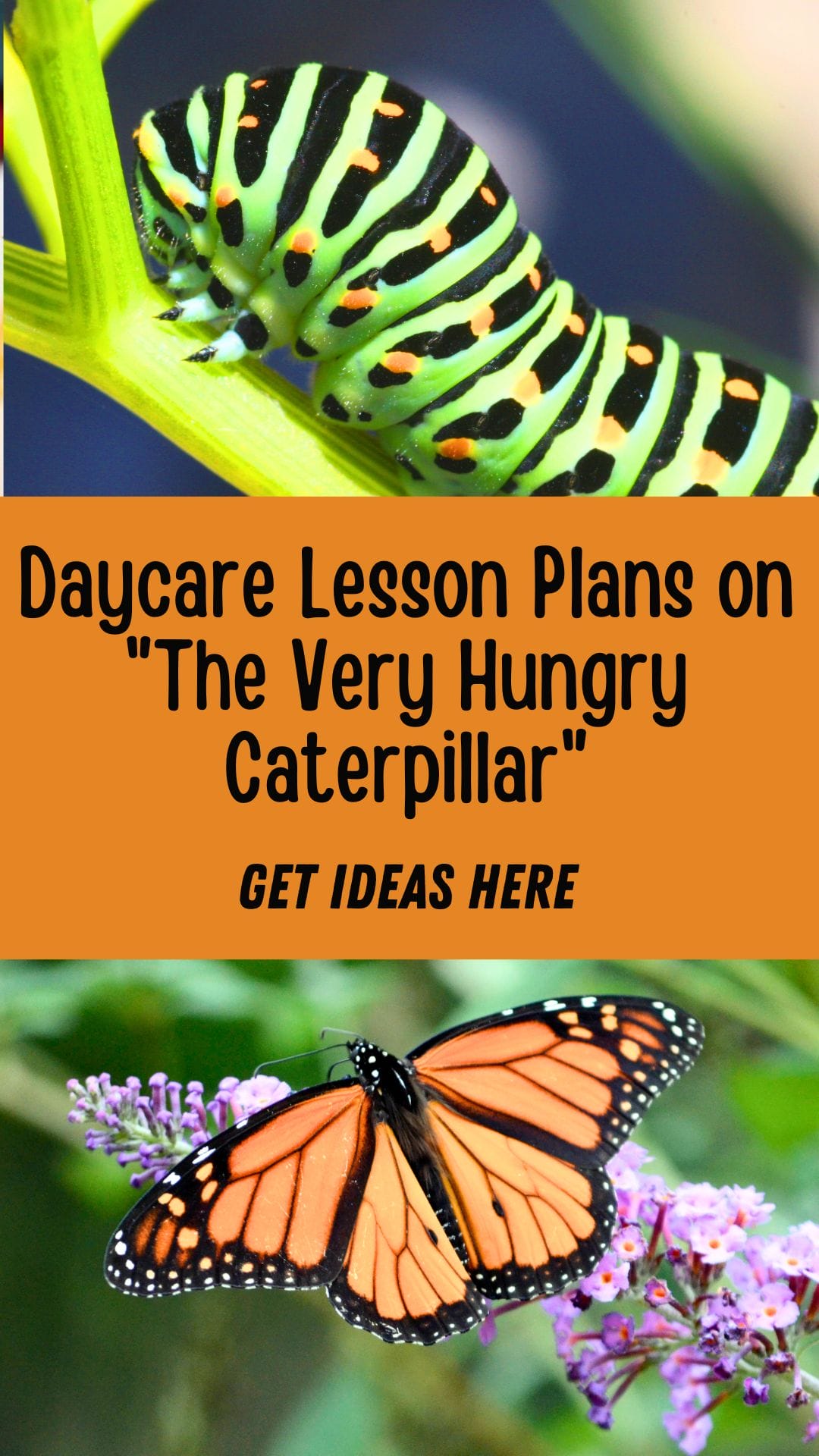 Daycare Lesson Plans on "The Very Hungry Caterpillar"